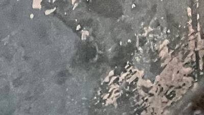 The 19 best restaurants in Byron Bay right now