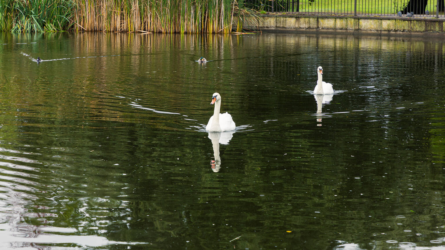 Brockwell Park | Attractions in Herne Hill, London