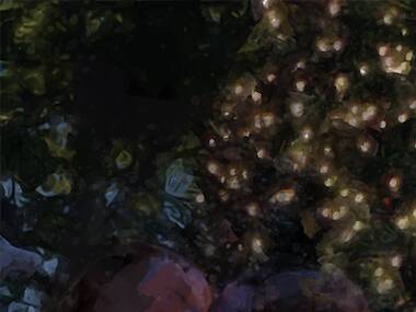 Christmas Events in Miami: 19 Best Holiday Happenings