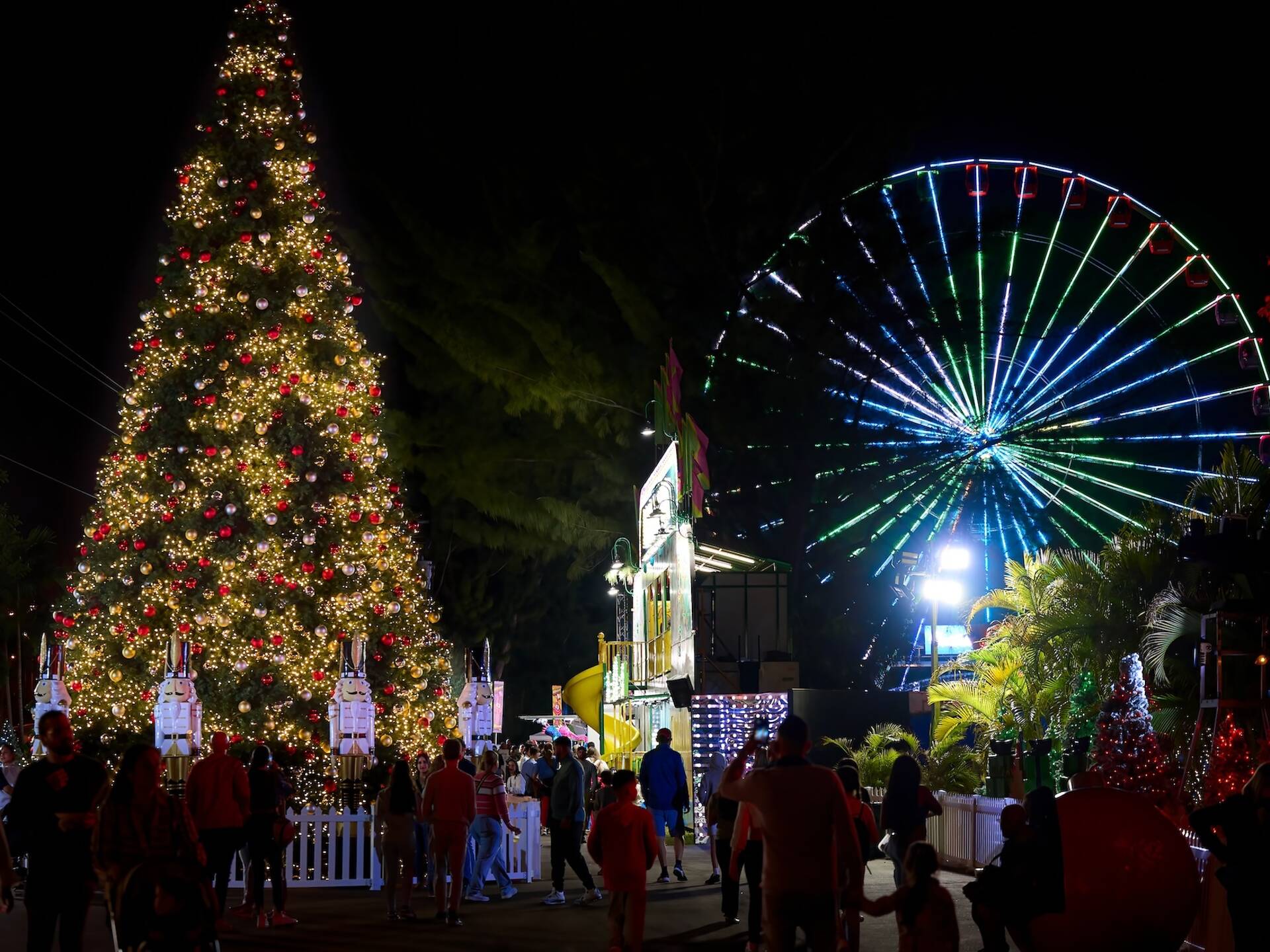 Christmas Events in Miami: 19 Best Holiday Happenings