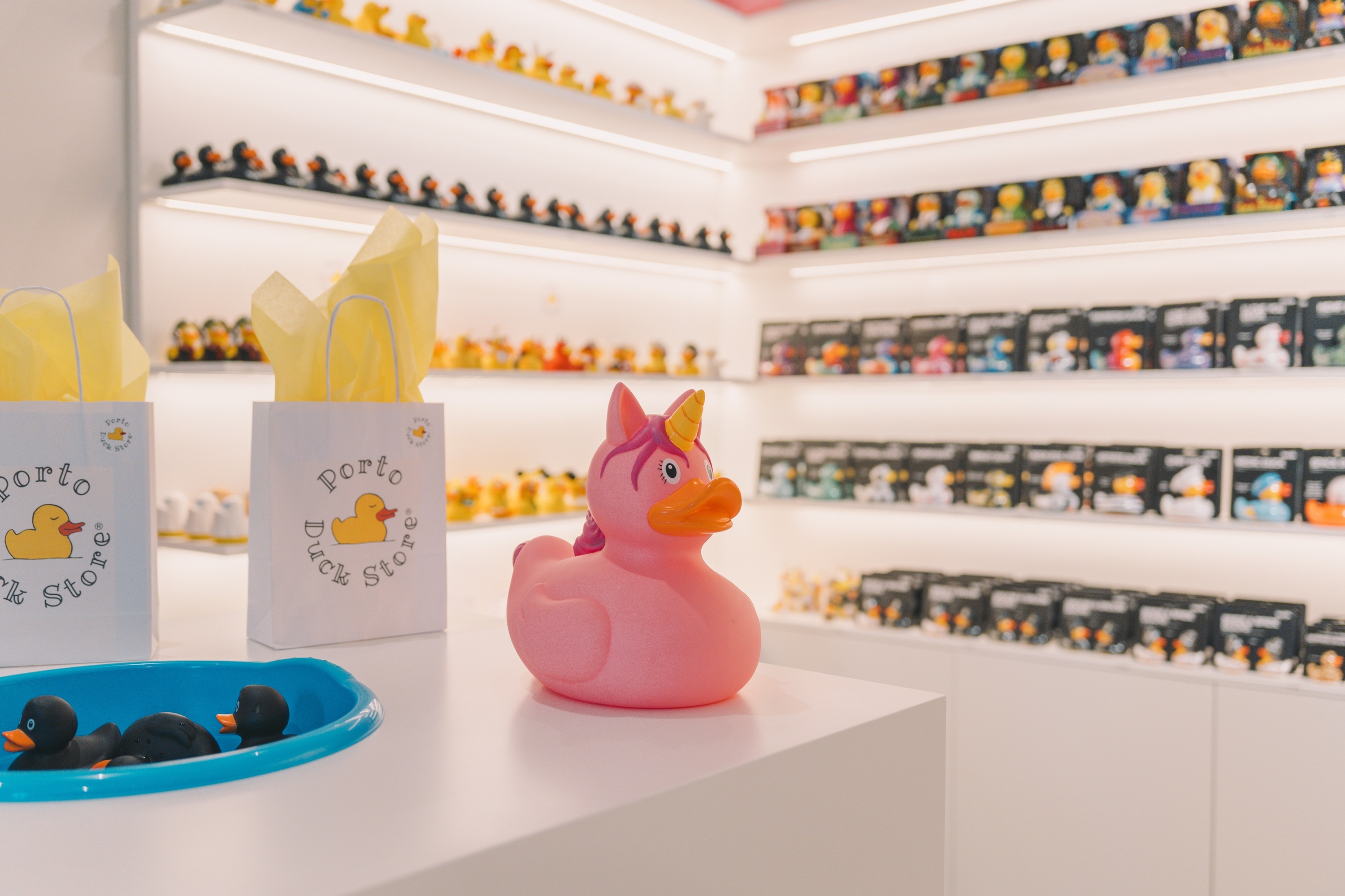 Porto Duck Store | Compras | Porto, Porto
