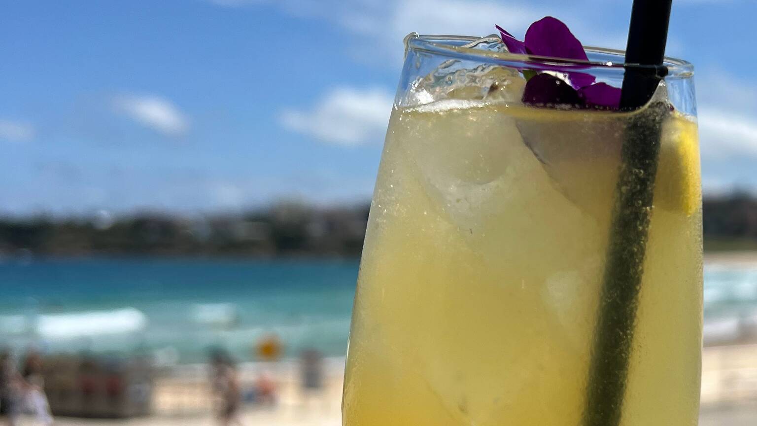 North Bondi Fish | One of Sydney's best waterfront restaurants