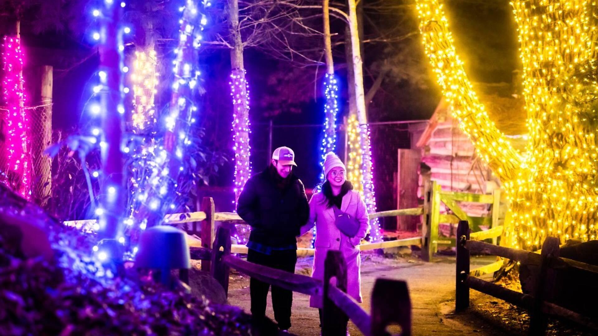 ZooLights at Stone Zoo | Things to do in Boston