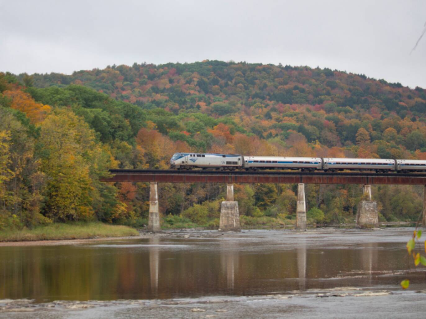 14 Best Scenic Train Rides in the USA for Spectacular Views