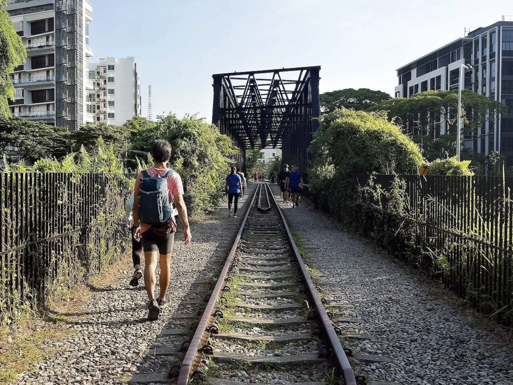 Hiking in Singapore: 18 Amazing Walking Trails For Trekkers To Try