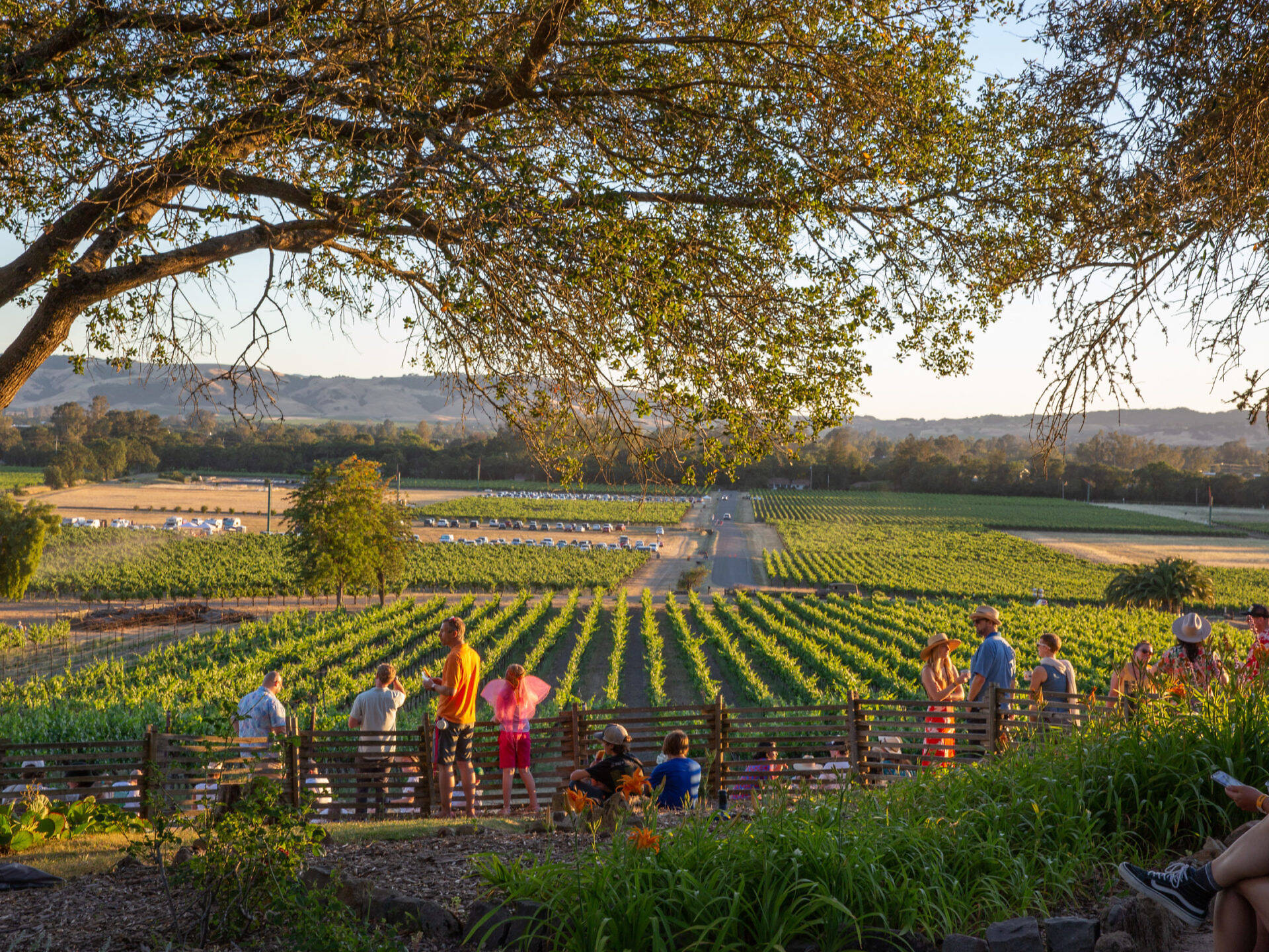 These Sonoma wineries offer gorgeous spots to taste