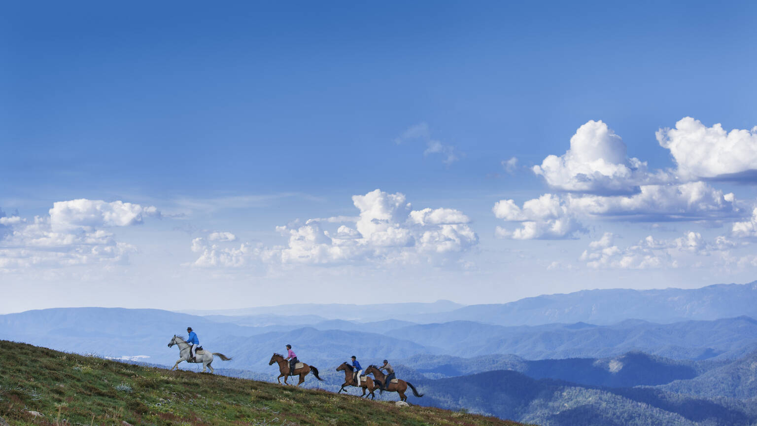 Where to go horse riding and trail riding in Melbourne