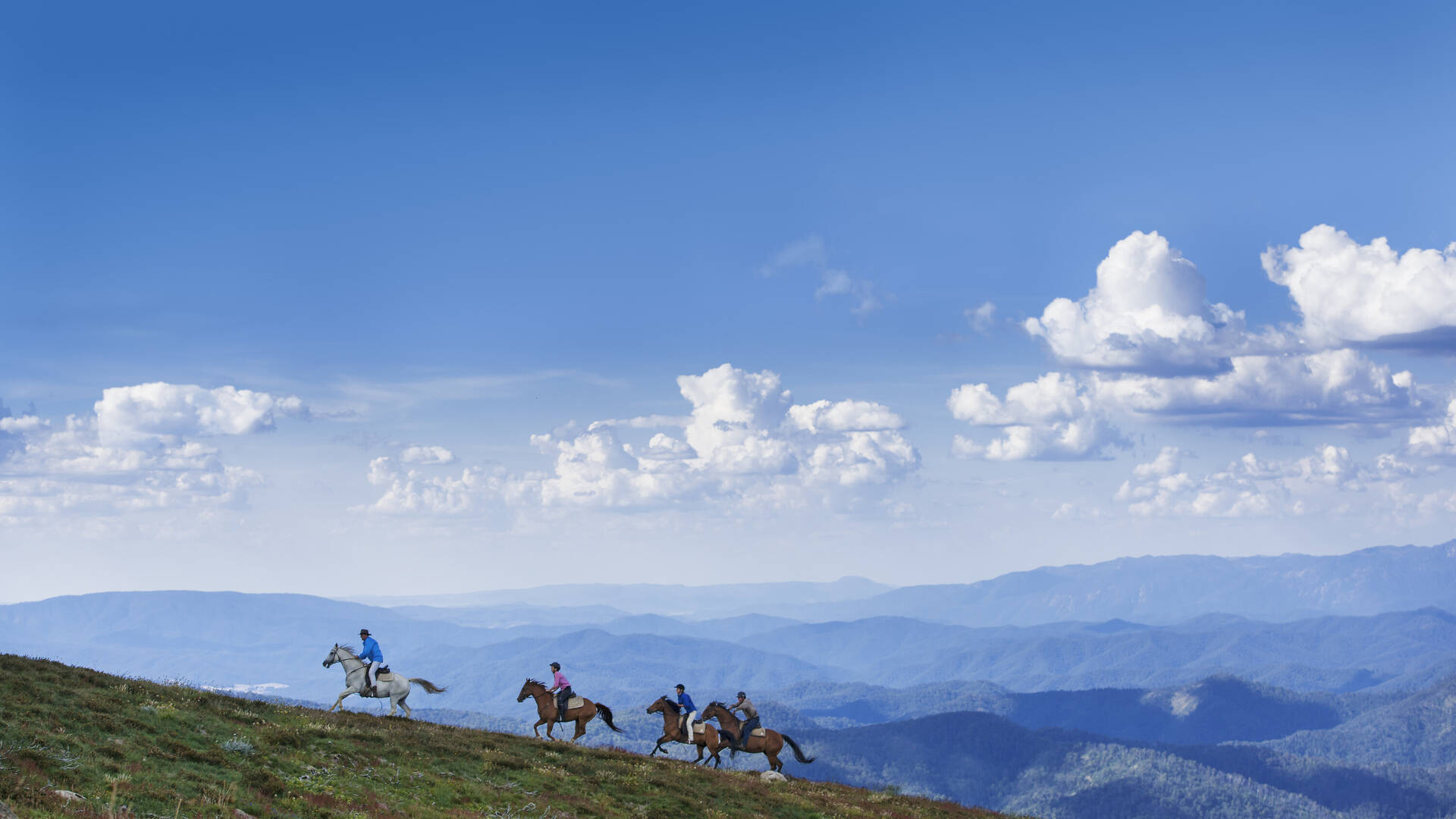 Where to go horse riding and trail riding in Melbourne