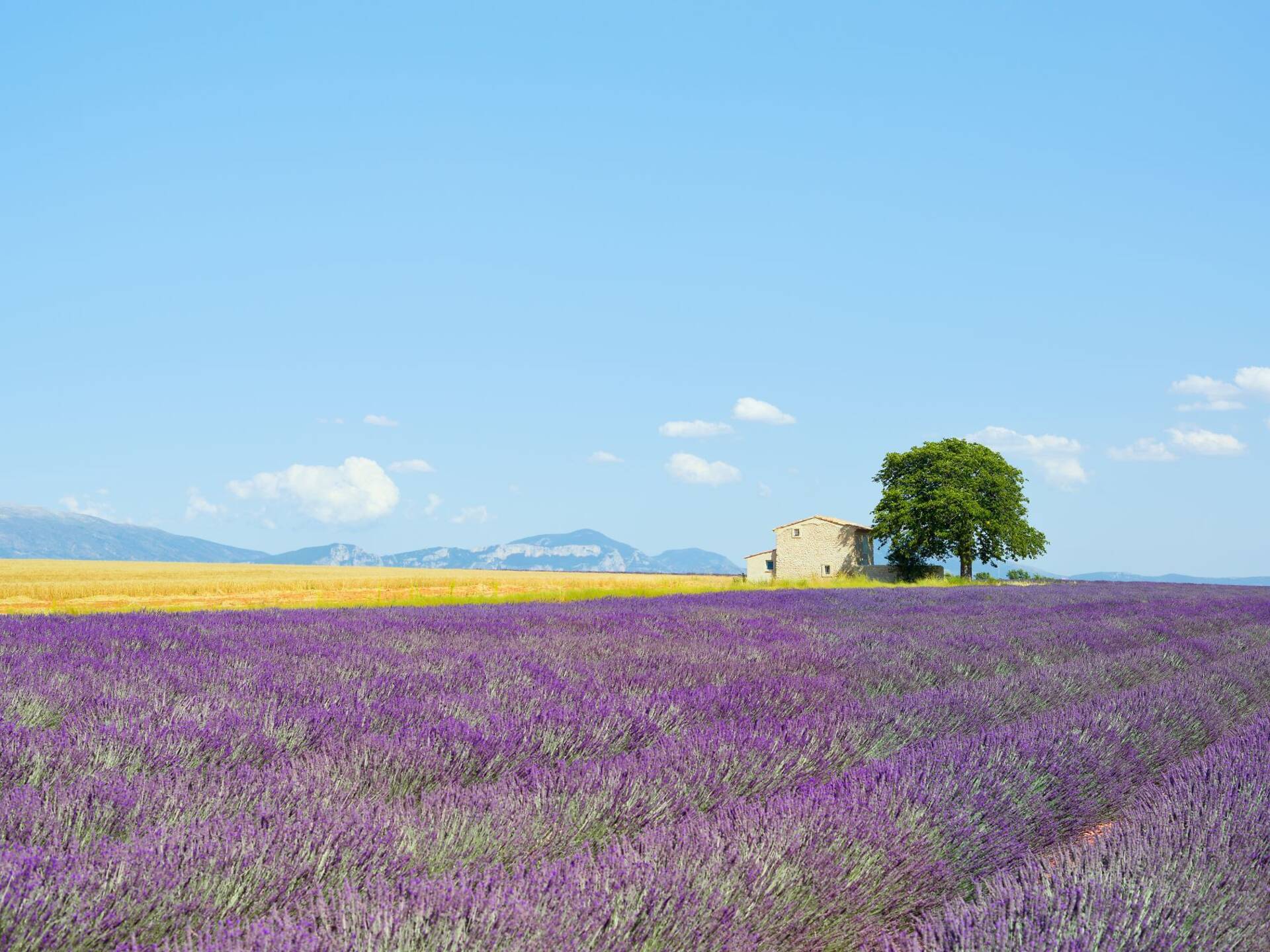 14 Best Romantic Getaways and Couples Retreats in the World