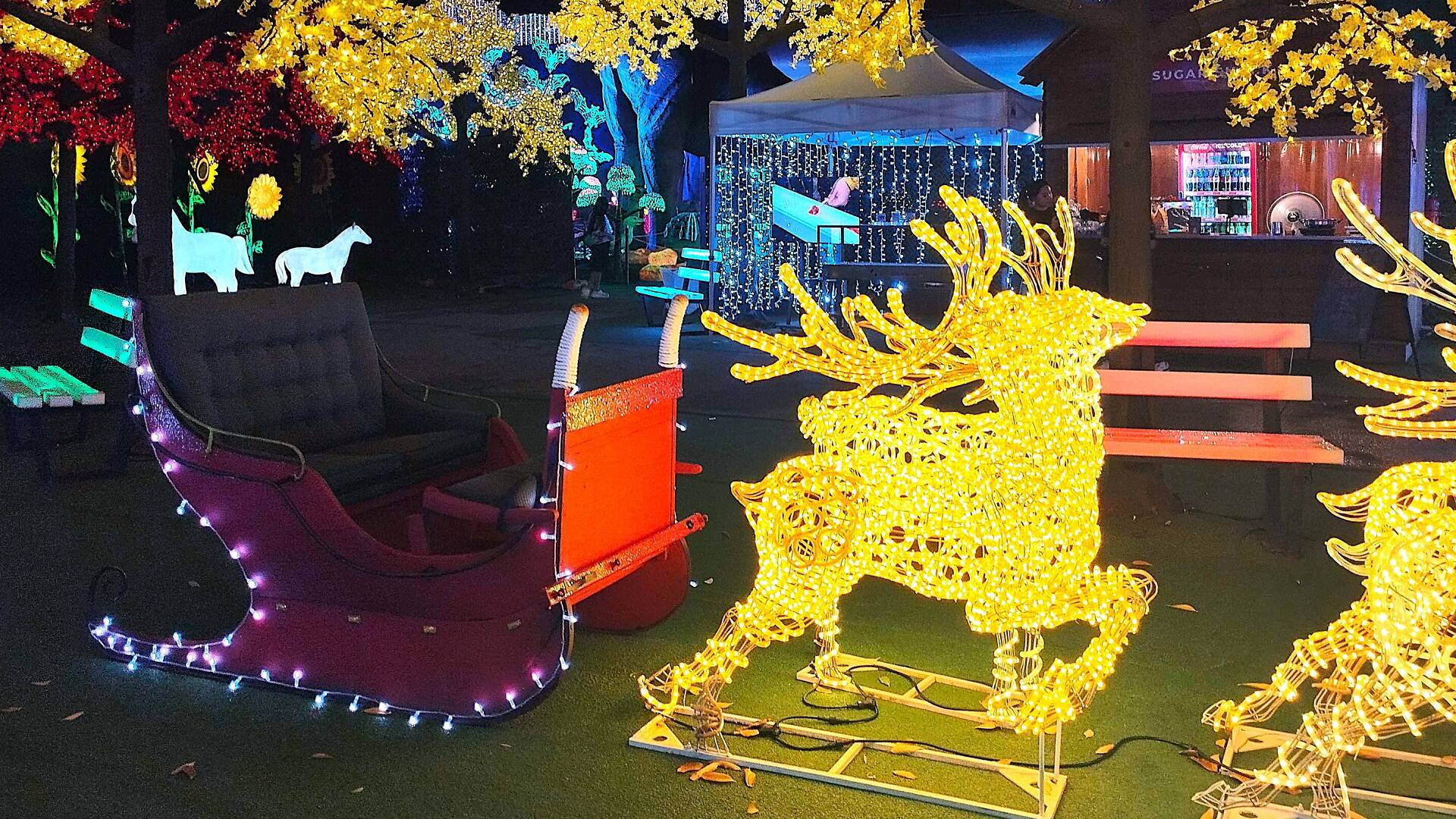 13 Best Places To See Christmas Lights And Decorations In Singapore