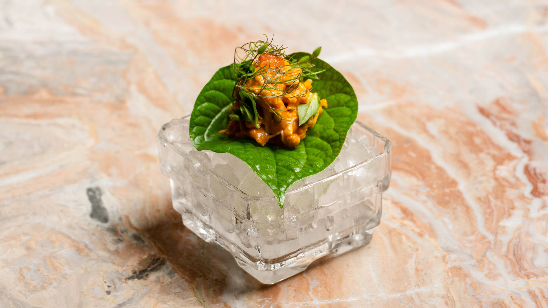 Station Road (STN RD) | New French restaurant in Adelaide