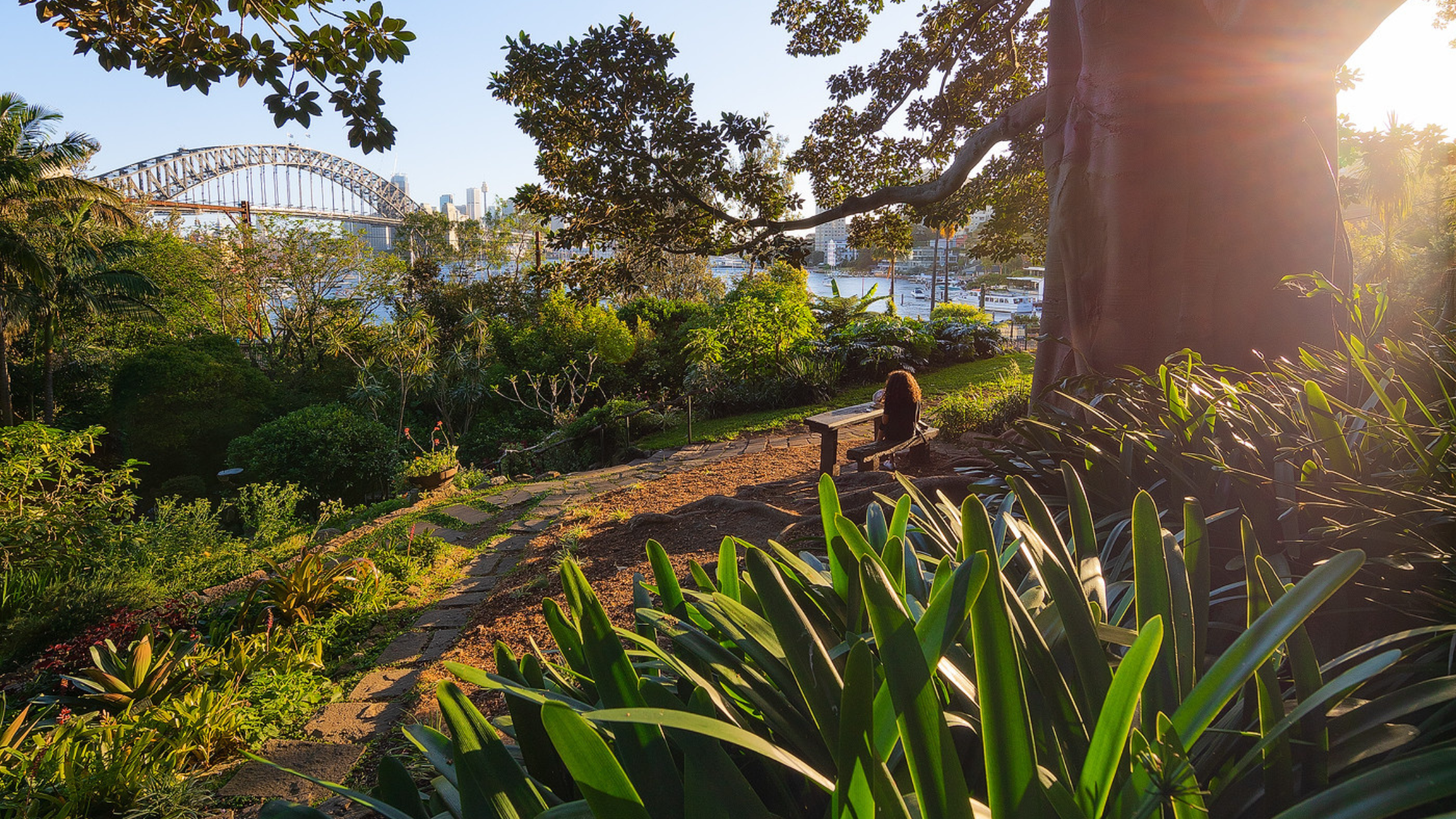 7 beautiful hidden and secret places in Sydney and NSW
