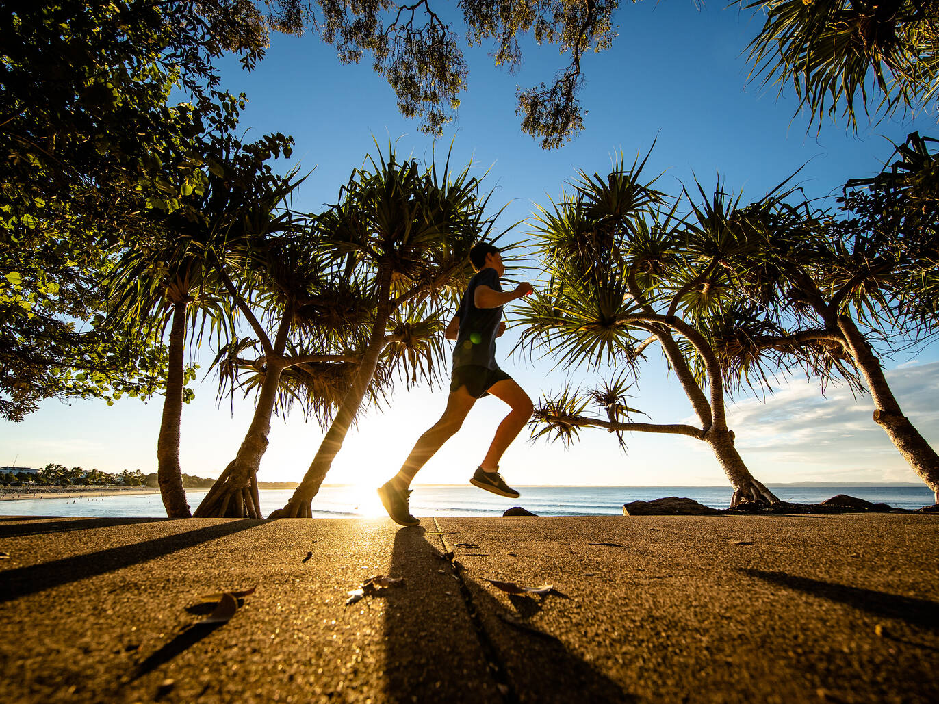 The 12 Best Marathons in Australia in 2026