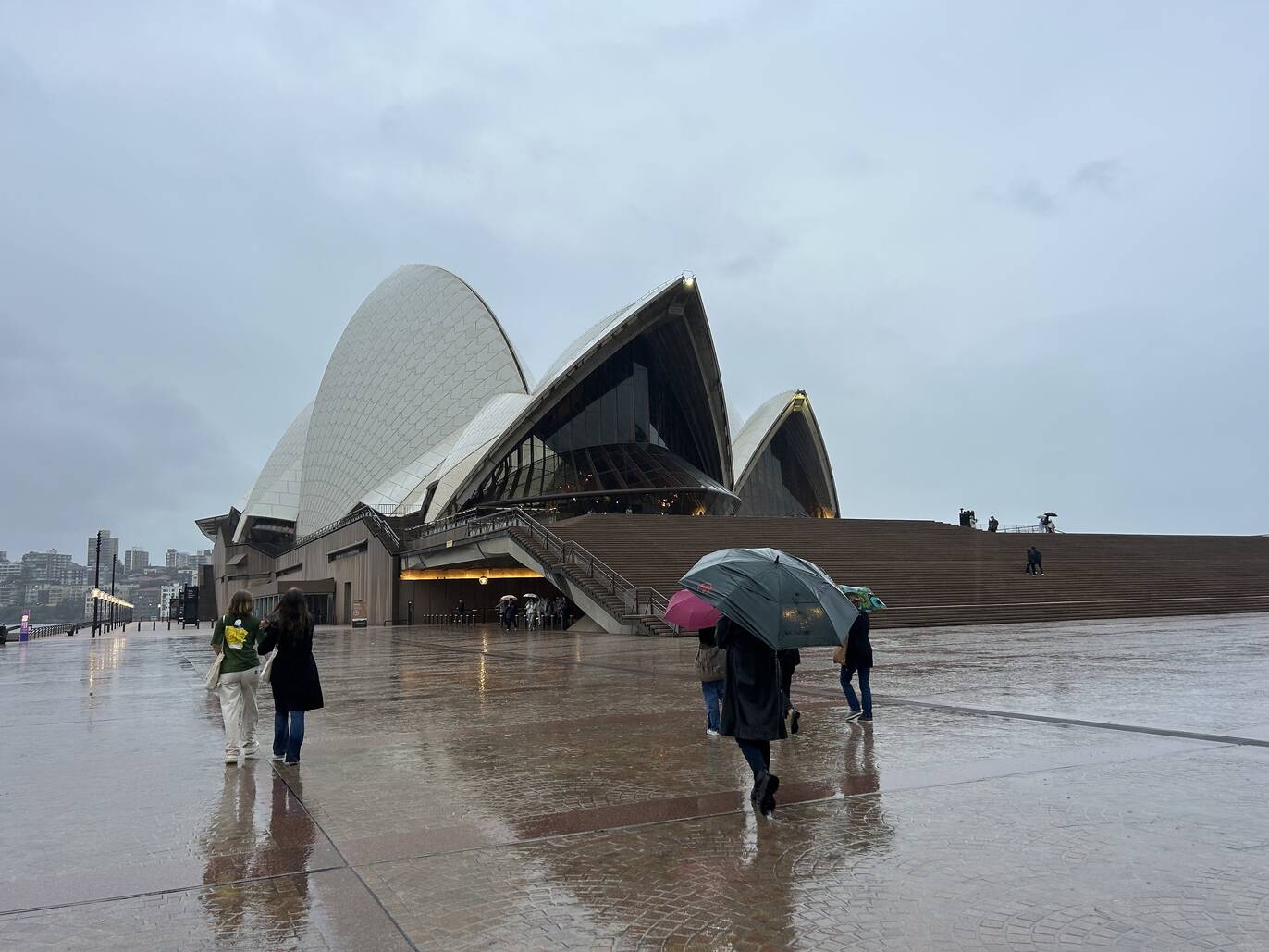 The 25 best things to do in Sydney when it's raining
