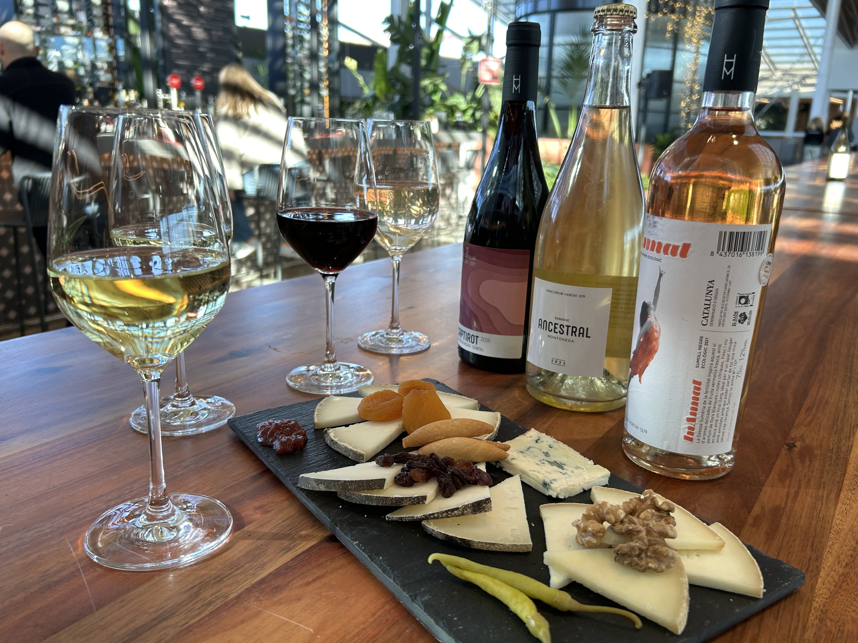 Colmado Múrria Tasting at Time Out Market: Wines and Cheeses | Things ...