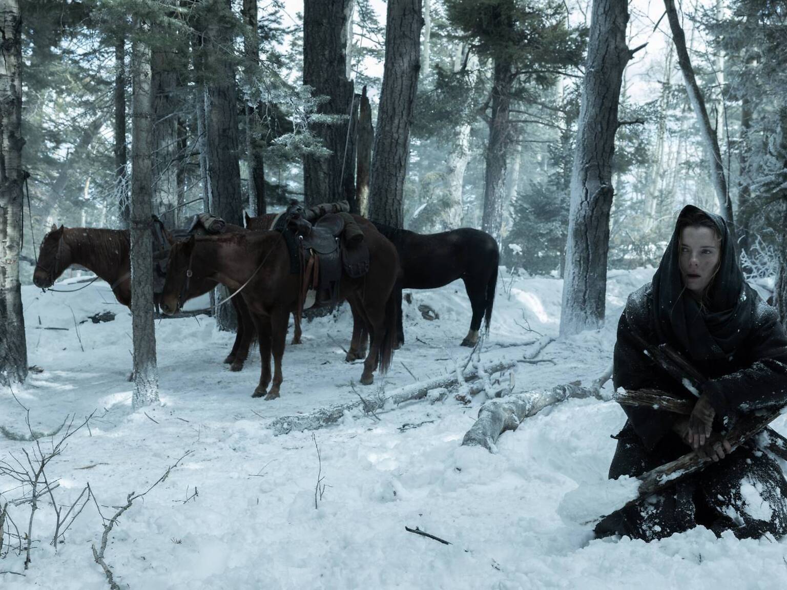 Best New TV Shows & Streaming Series of 2025 (So Far) – From Emmy ...