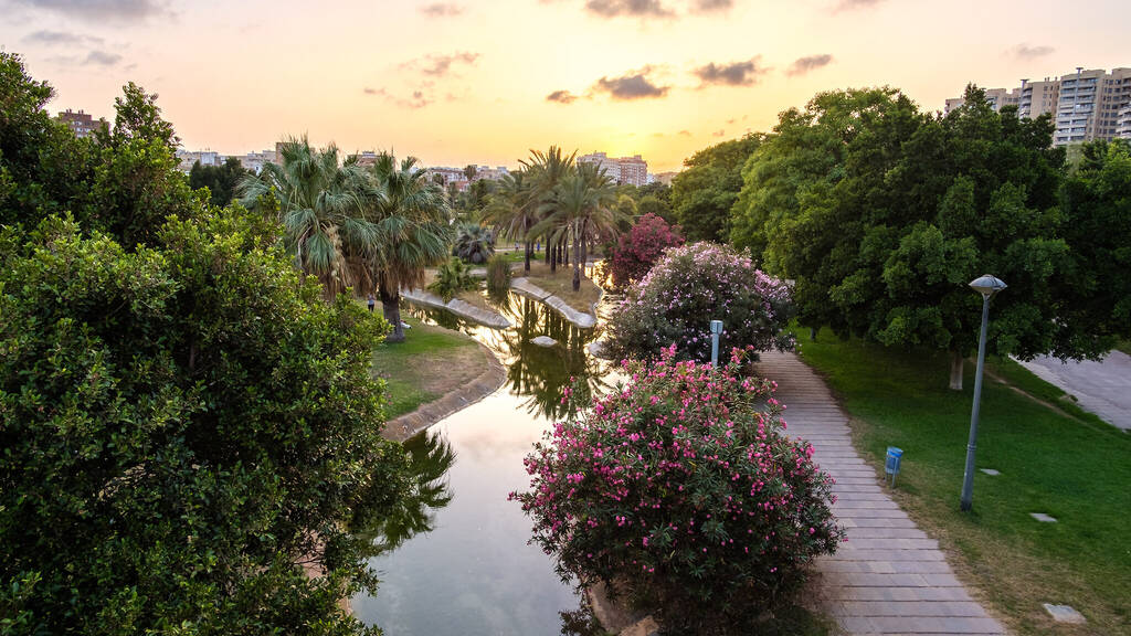 17 Must-Do Activities in Valencia in 2025, Picked By Experts