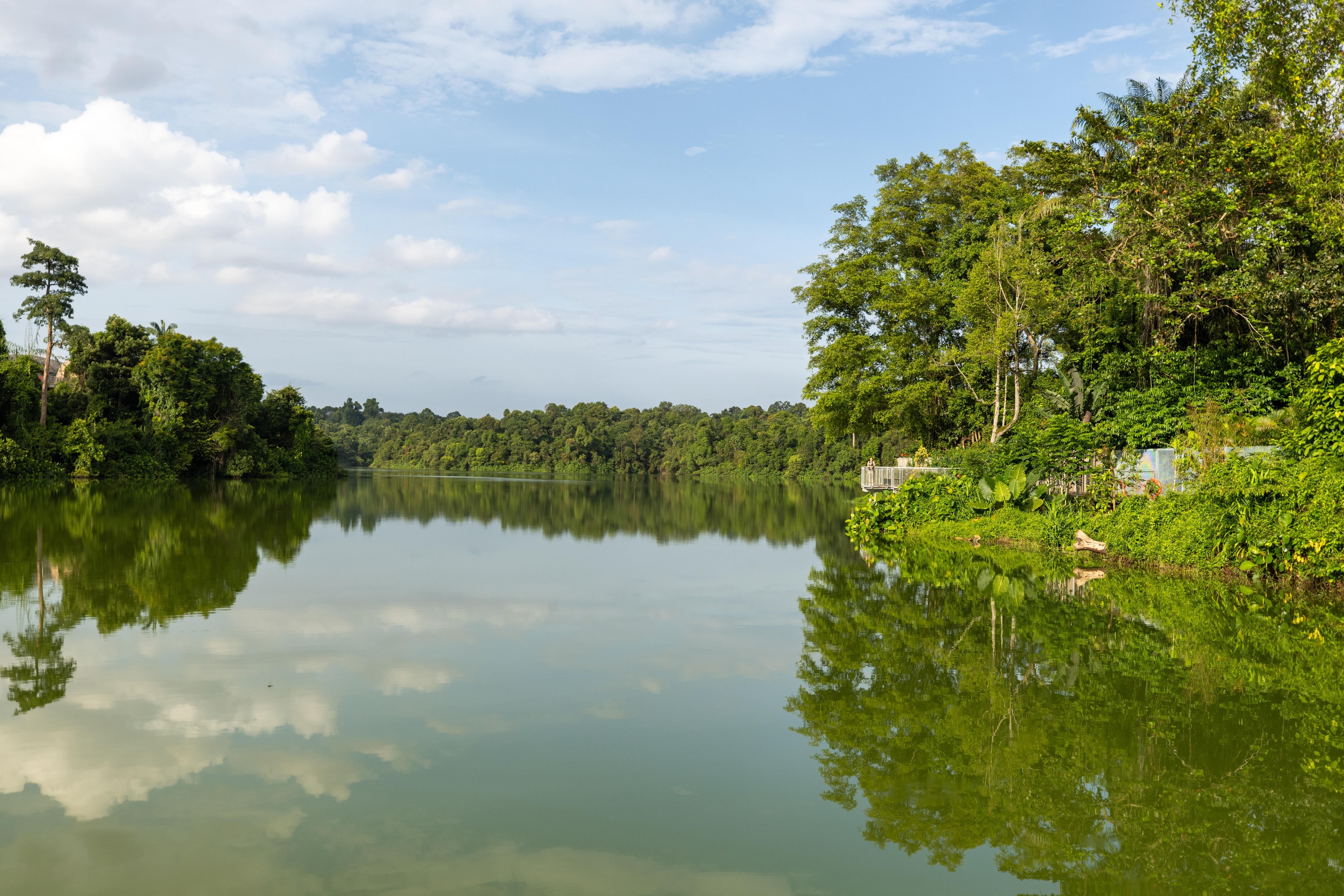 The New Mandai Boardwalk Is Now Open To Public