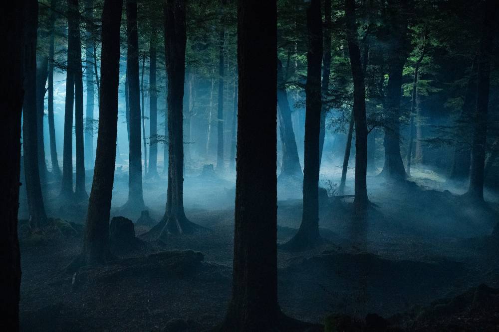Where was ‘Wolf Man’ filmed? The unexpected filming location behind the ...