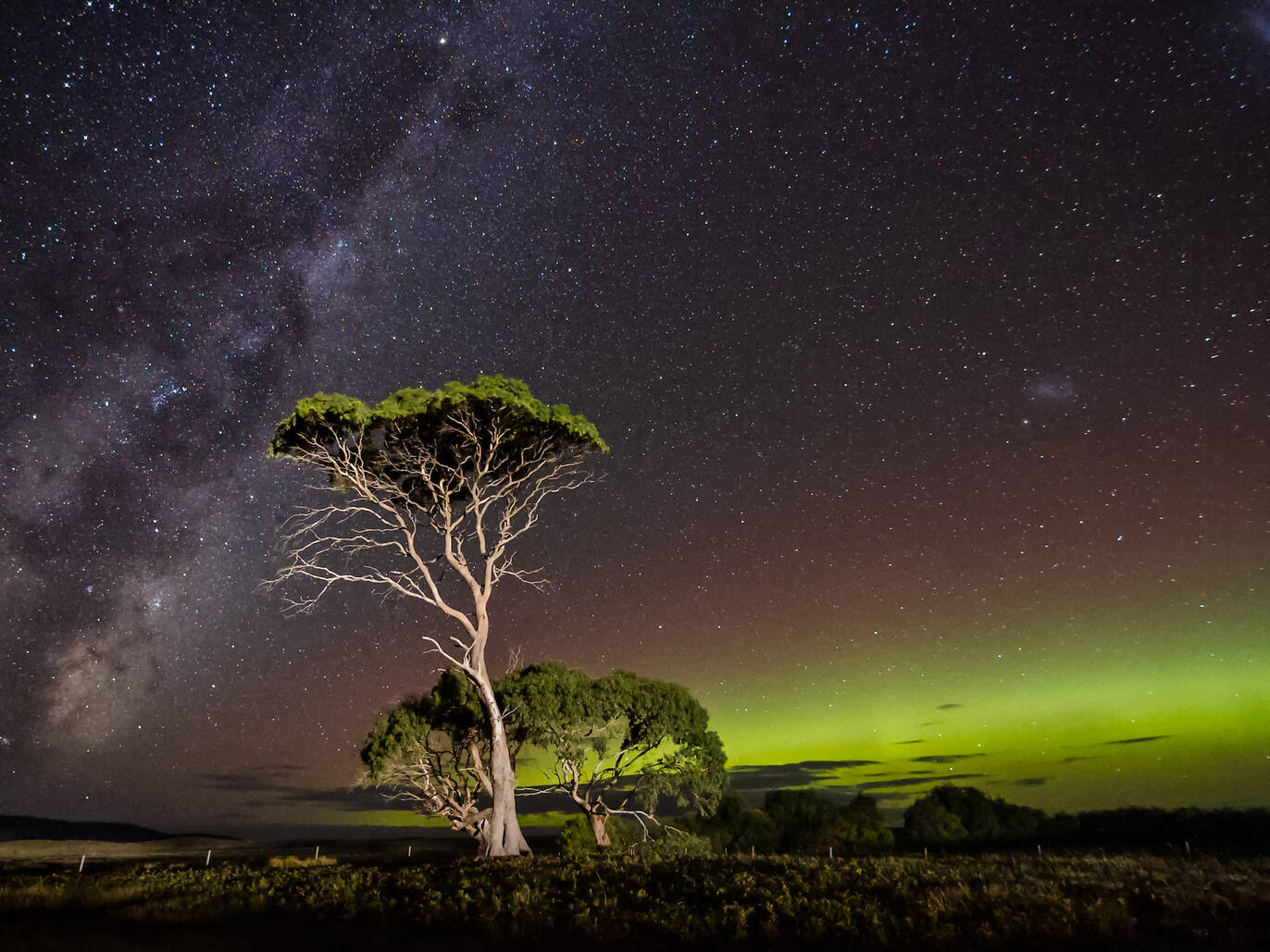 Noctourism: Why Dark Sky Travel is Huge in 2025, and Where to Experience It