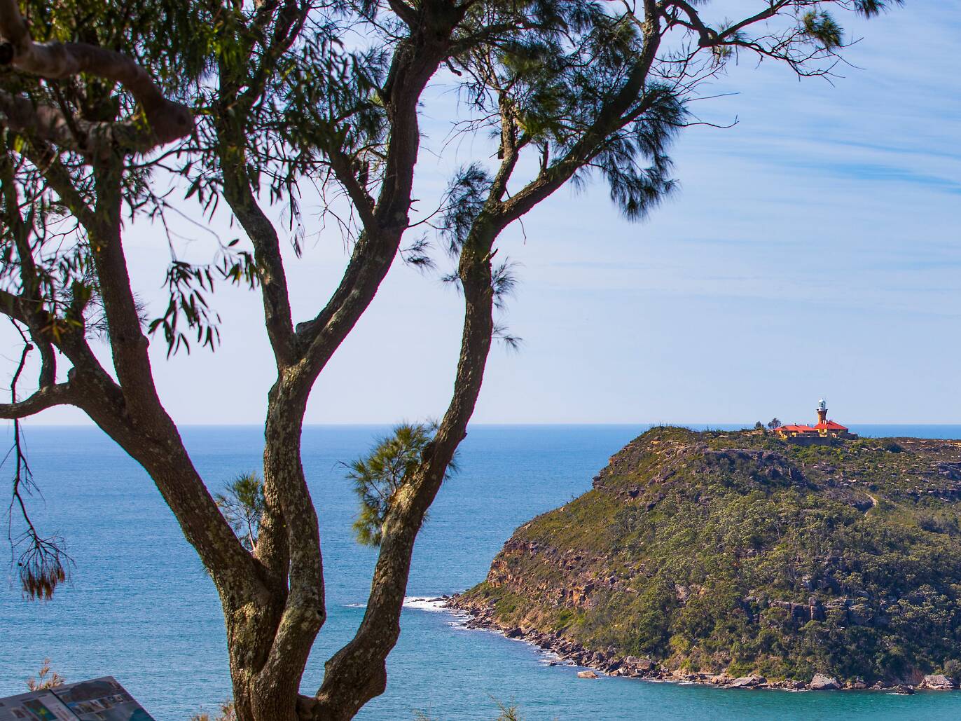 The Best Walks in Sydney for a Scenic Adventure