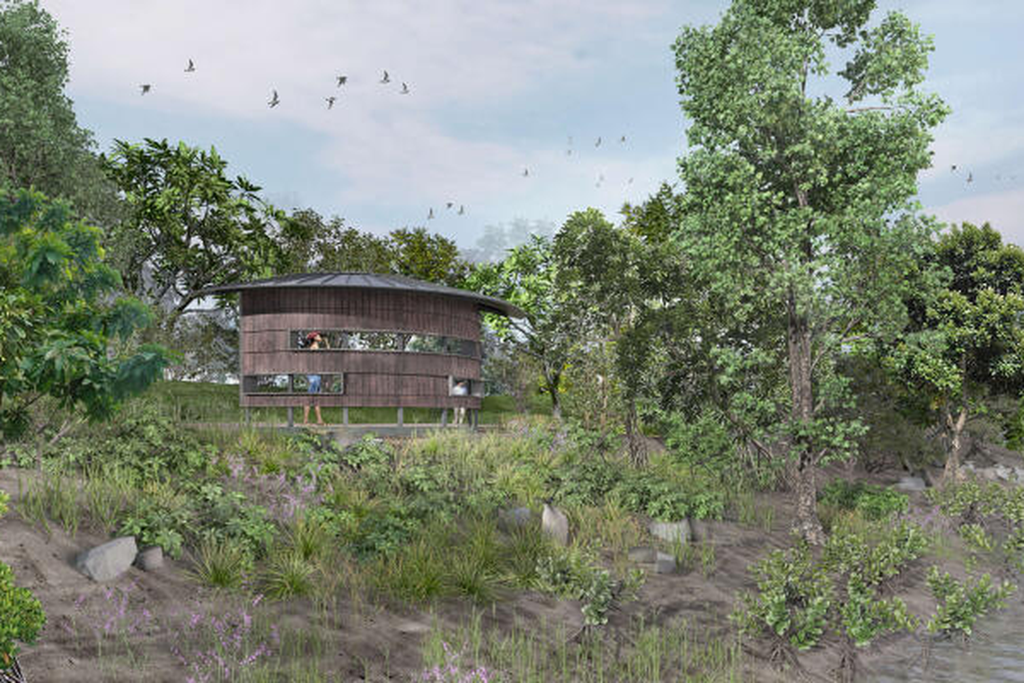 New Mandai Mangrove And Bukit Batok Nature Corridor Opens In 2028