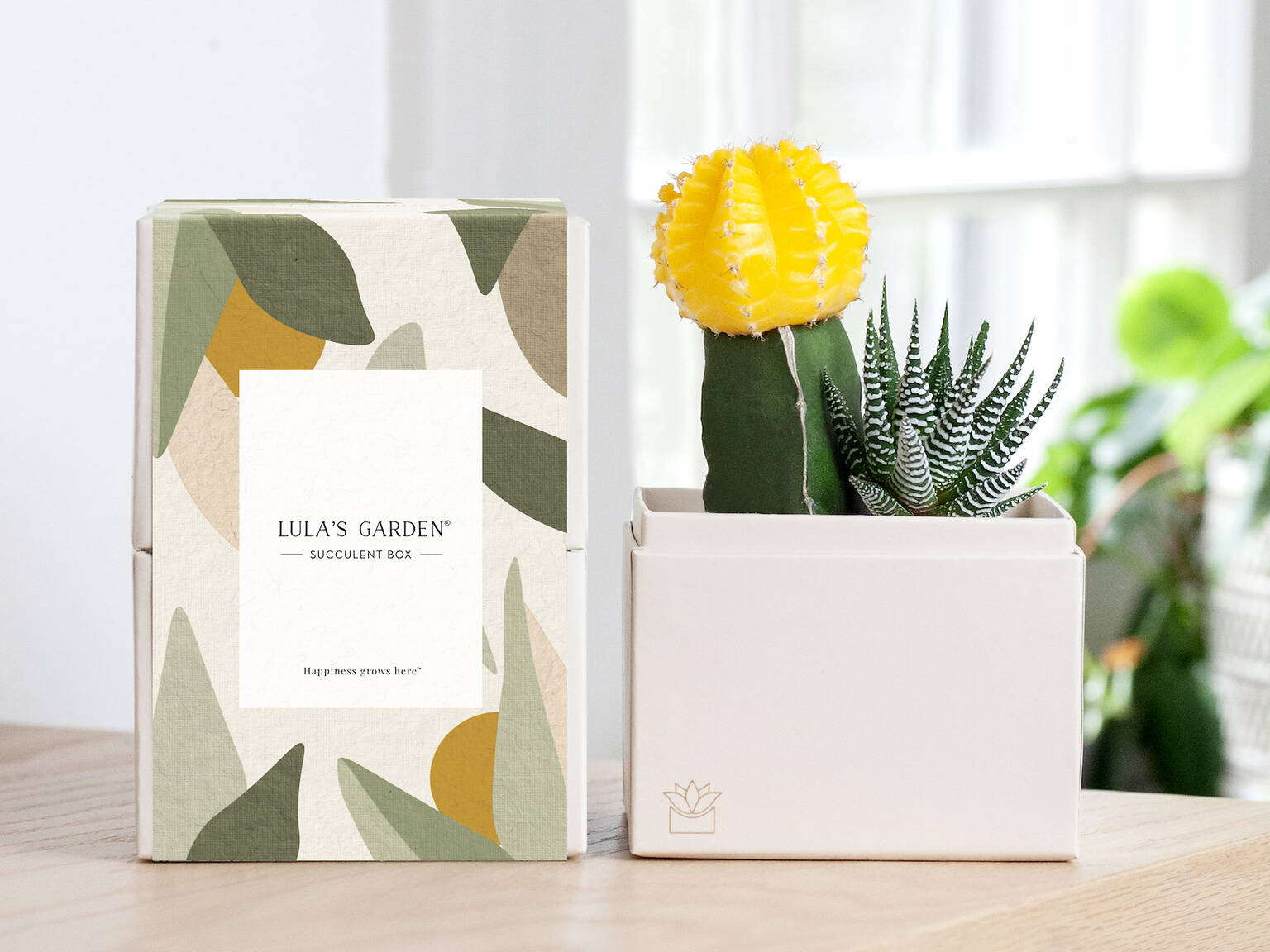 10 Cheap Flower Delivery Services in the USA for 2025 | USA Online Florists