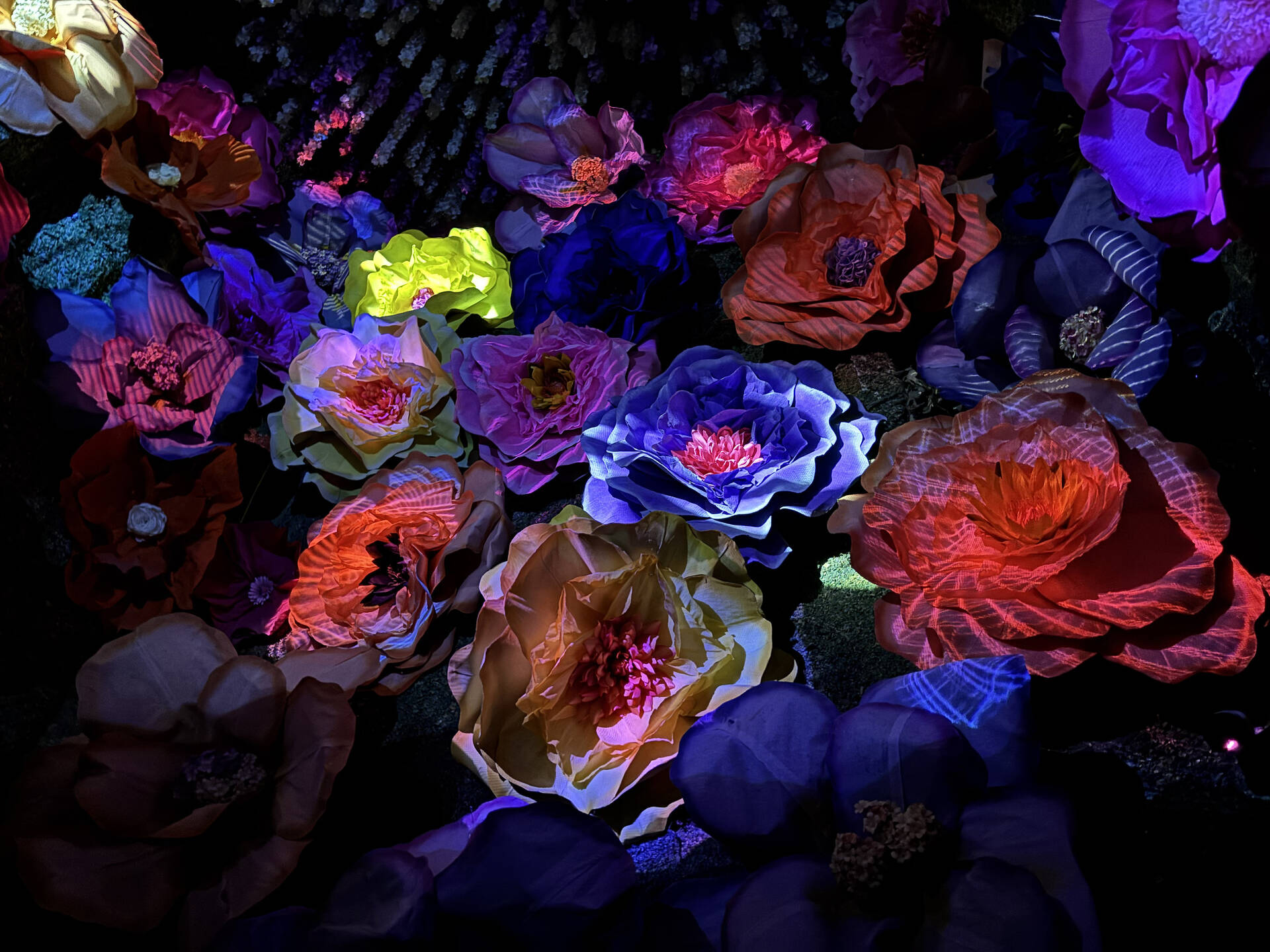 50 lugares en la CDMX para salir con tu pareja