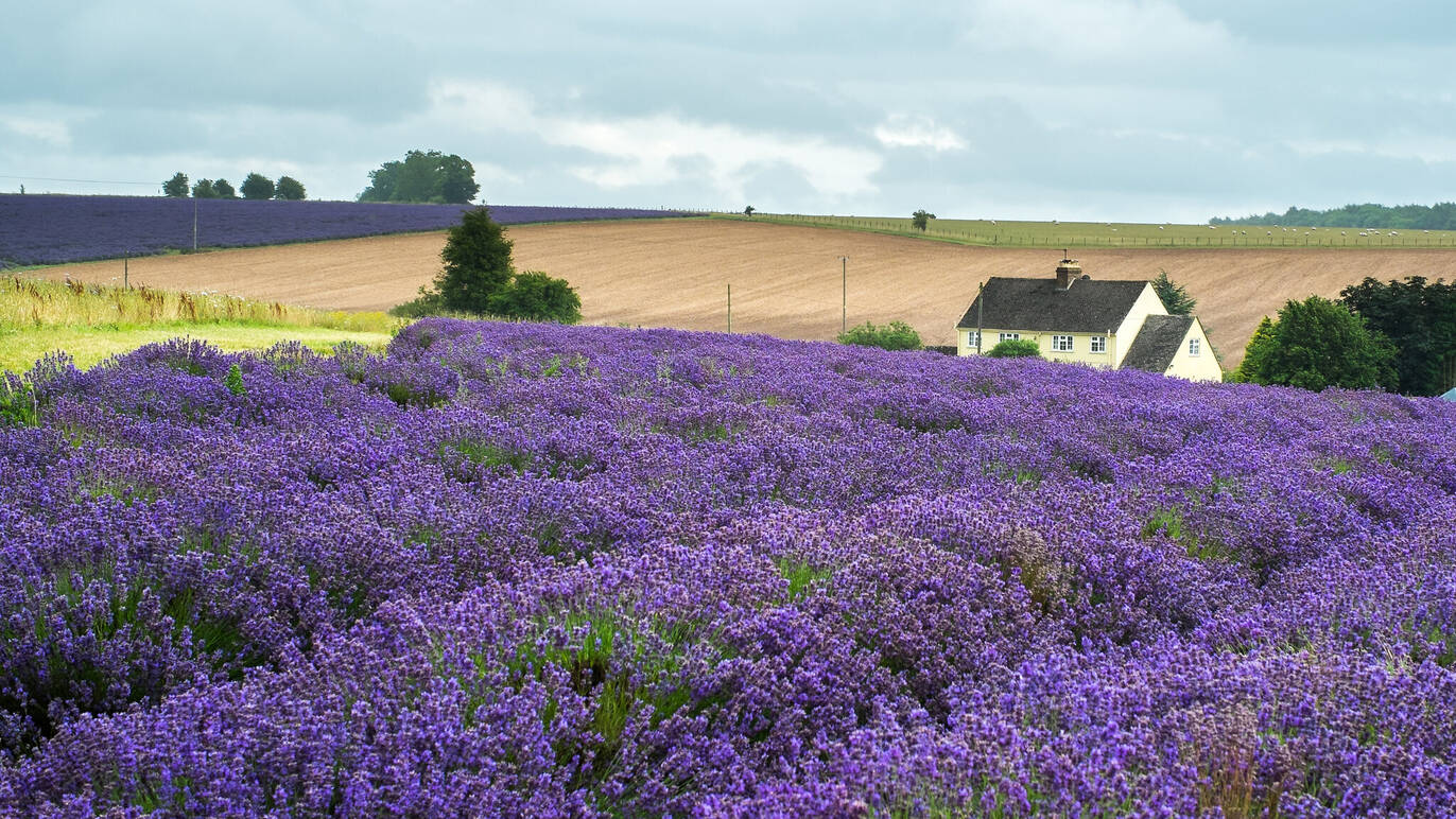 15 Best Places to Travel in July 2025: Top Destinations Picked By Our ...