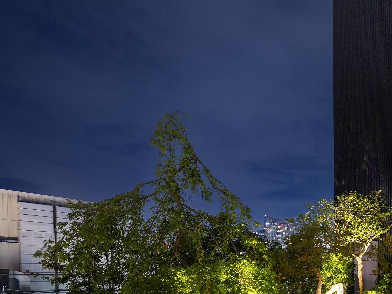 15 best rooftop bars and restaurants with the best views of Tokyo