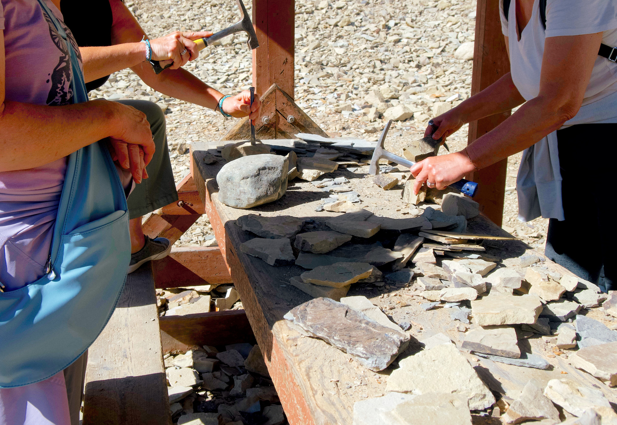 You can dig for your own fossils in a secluded corner of Washington