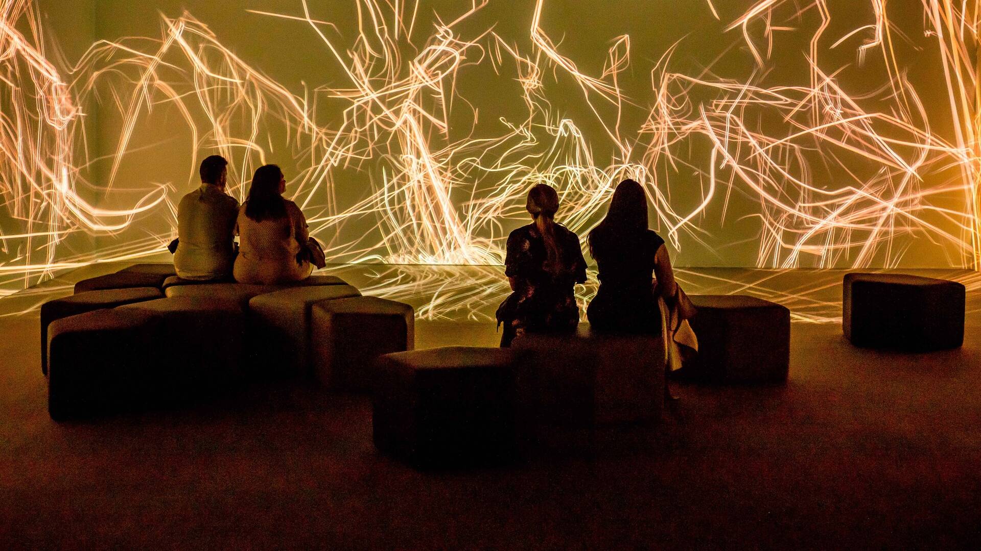 Explore Melbourne Museum after dark with the Nocturnal event series