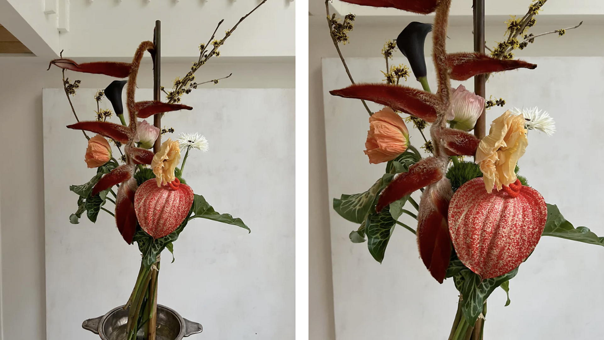 Les meilleurs fleuristes de Paris