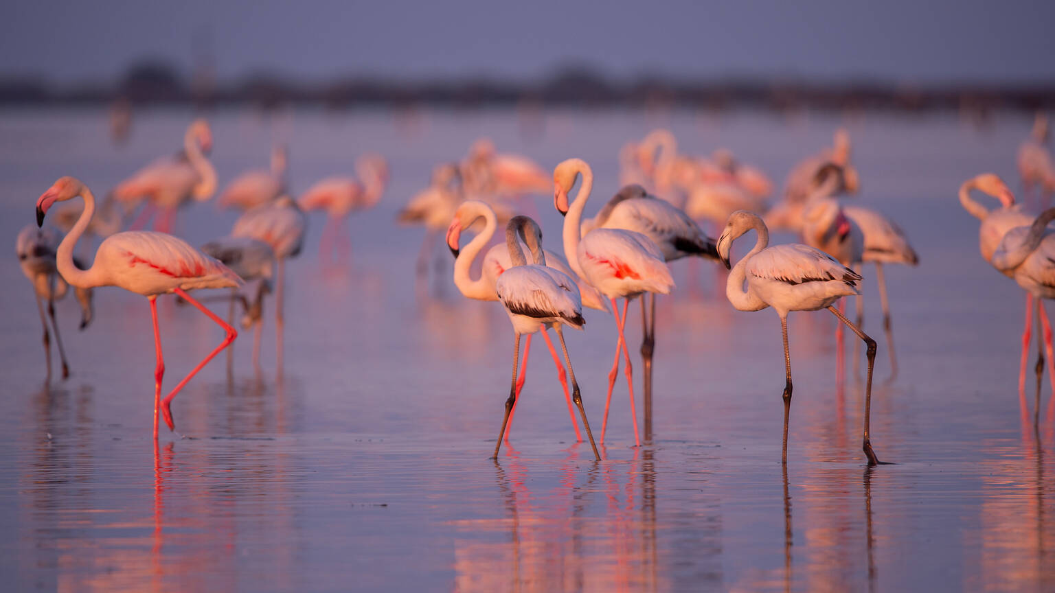 20 Beautiful Places in Catalonia for 2025