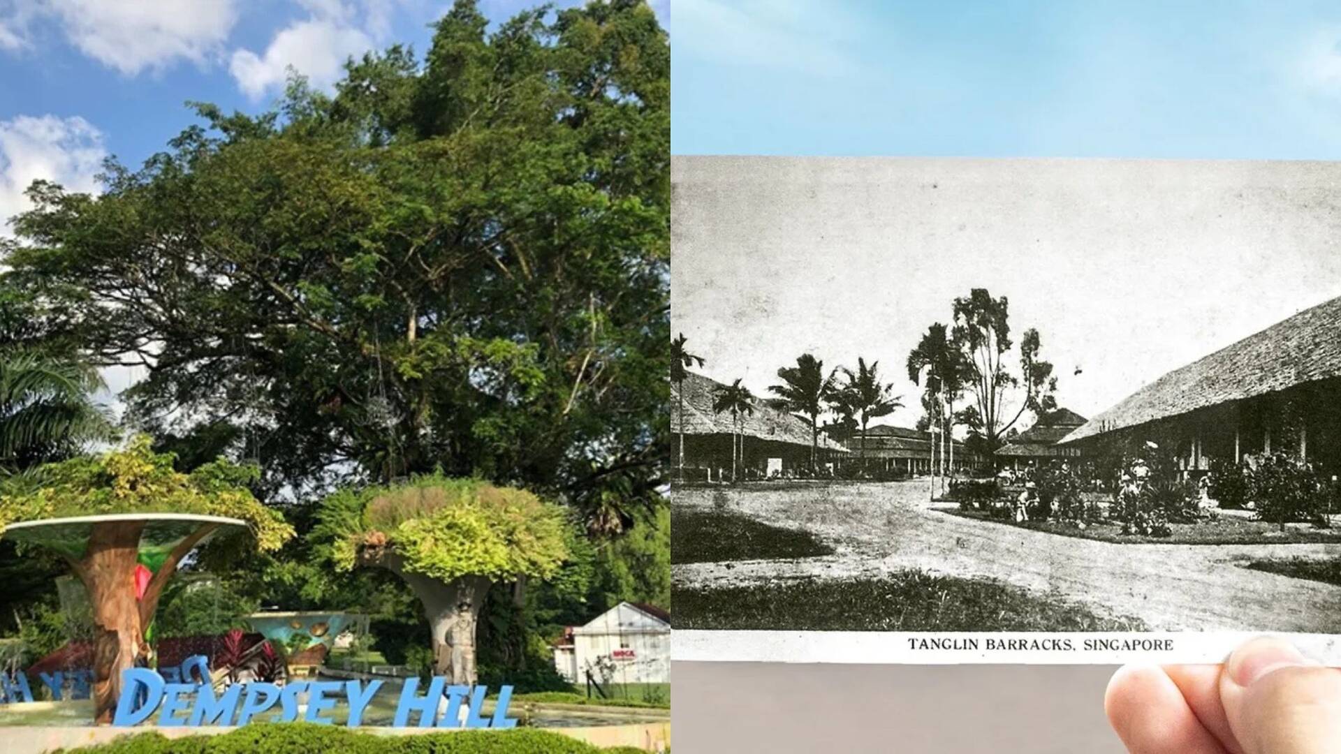 Dempsey Hill Rolls Out A New Self-Guided Heritage Audio Tour That Will ...
