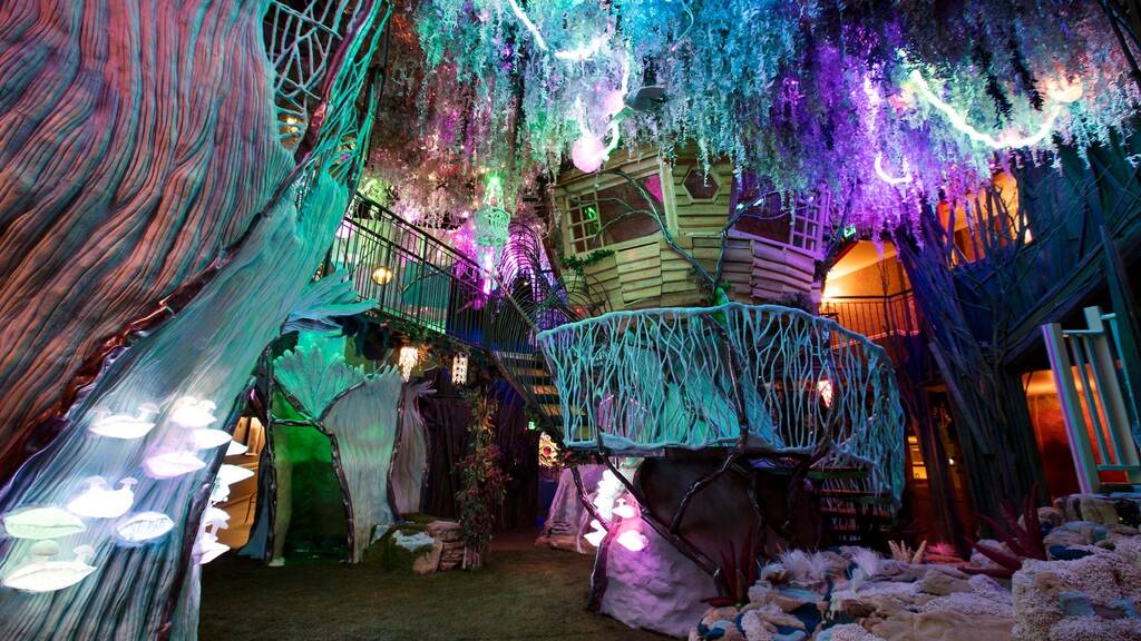 Meow Wolf | Things to do in Dallas