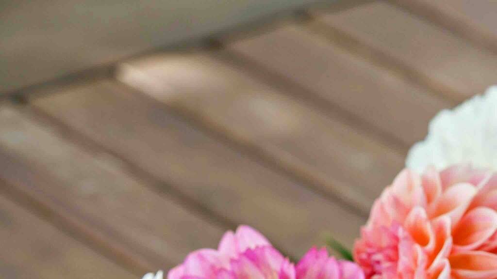 Nerine | Shopping in Humboldt Park, Chicago