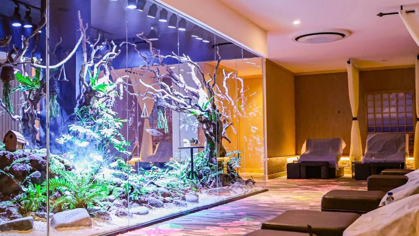The Best Spas and Massage Parlours in Jakarta