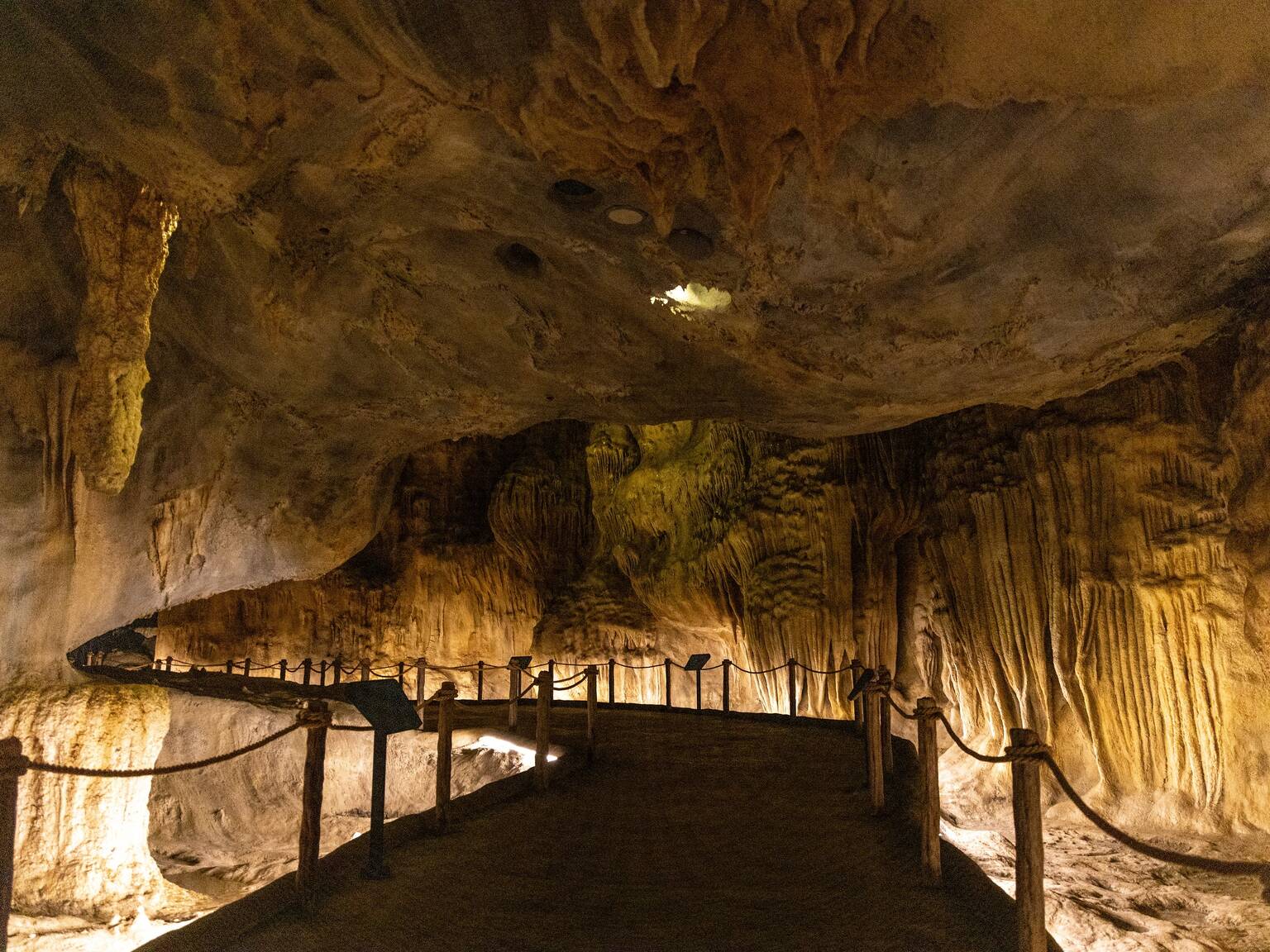 First look At Rainforest Wild Asia In Singapore: What To Expect In Its ...