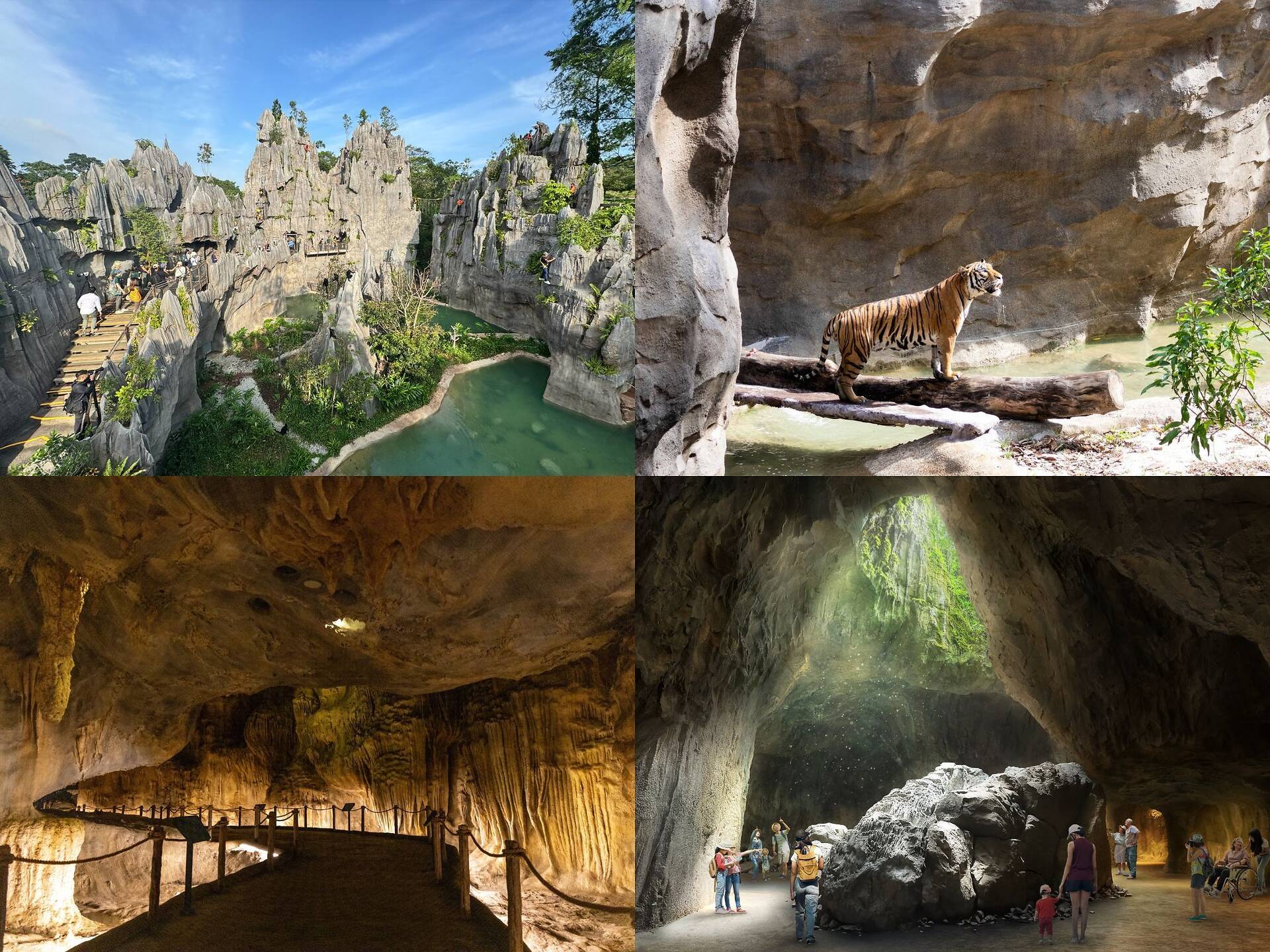 First look At Rainforest Wild Asia In Singapore: What To Expect In Its ...