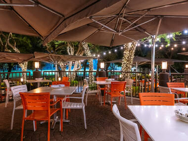 19 Best Miami Ladies' Nights for a Fun Girls Night Out