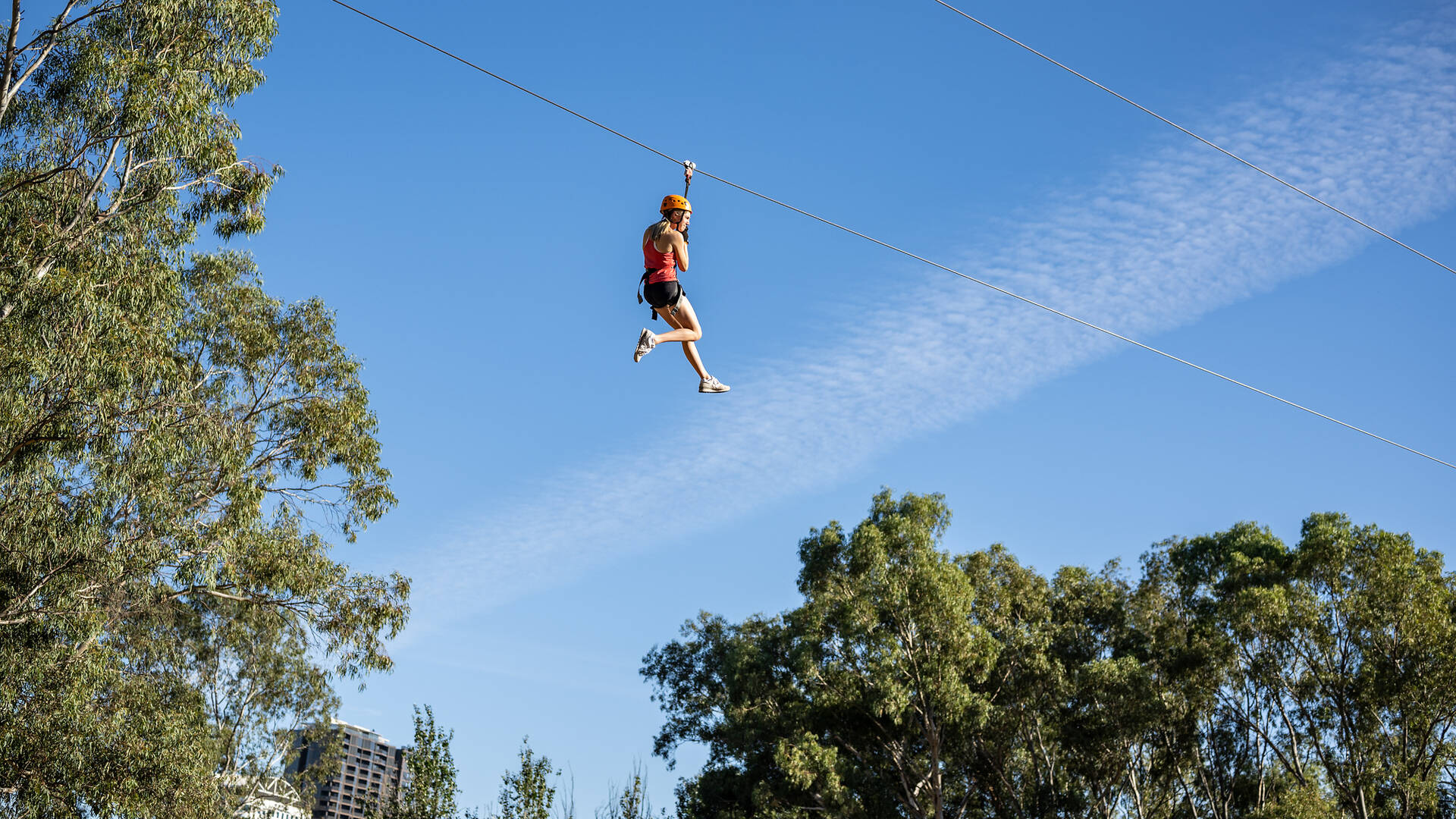 The 10 Best Things To Do With Kids in Adelaide [2026]