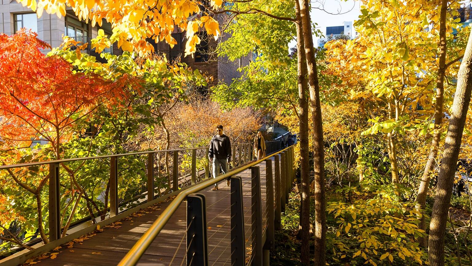 High Line NYC: Full Guide to the Elevated Park Including What to Eat