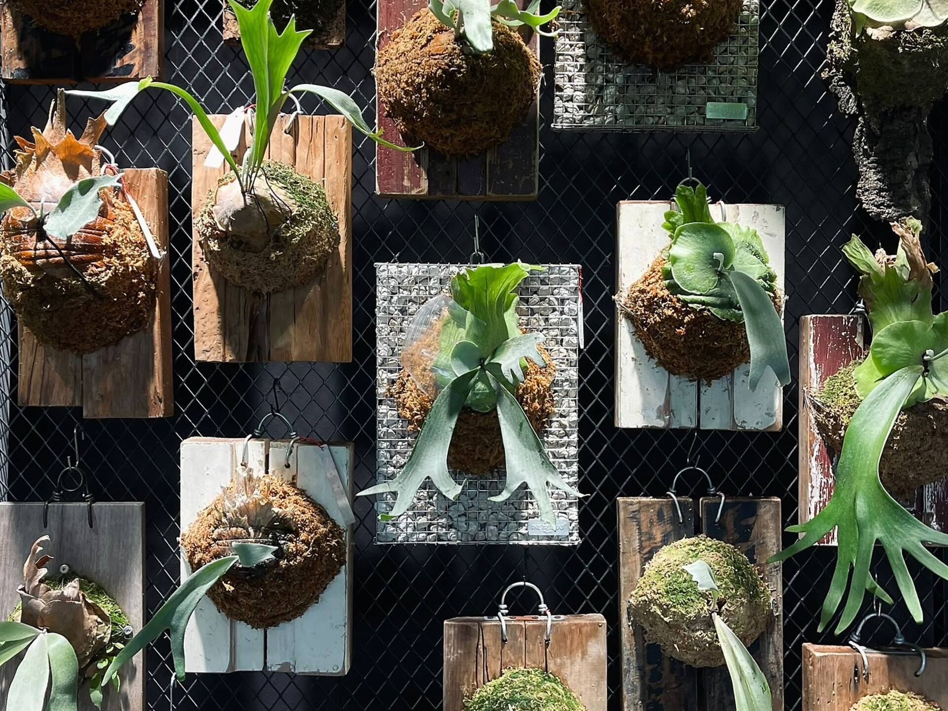 The Ultimate Guide To Kapo Factory Building: 7 Highlights To Check Out