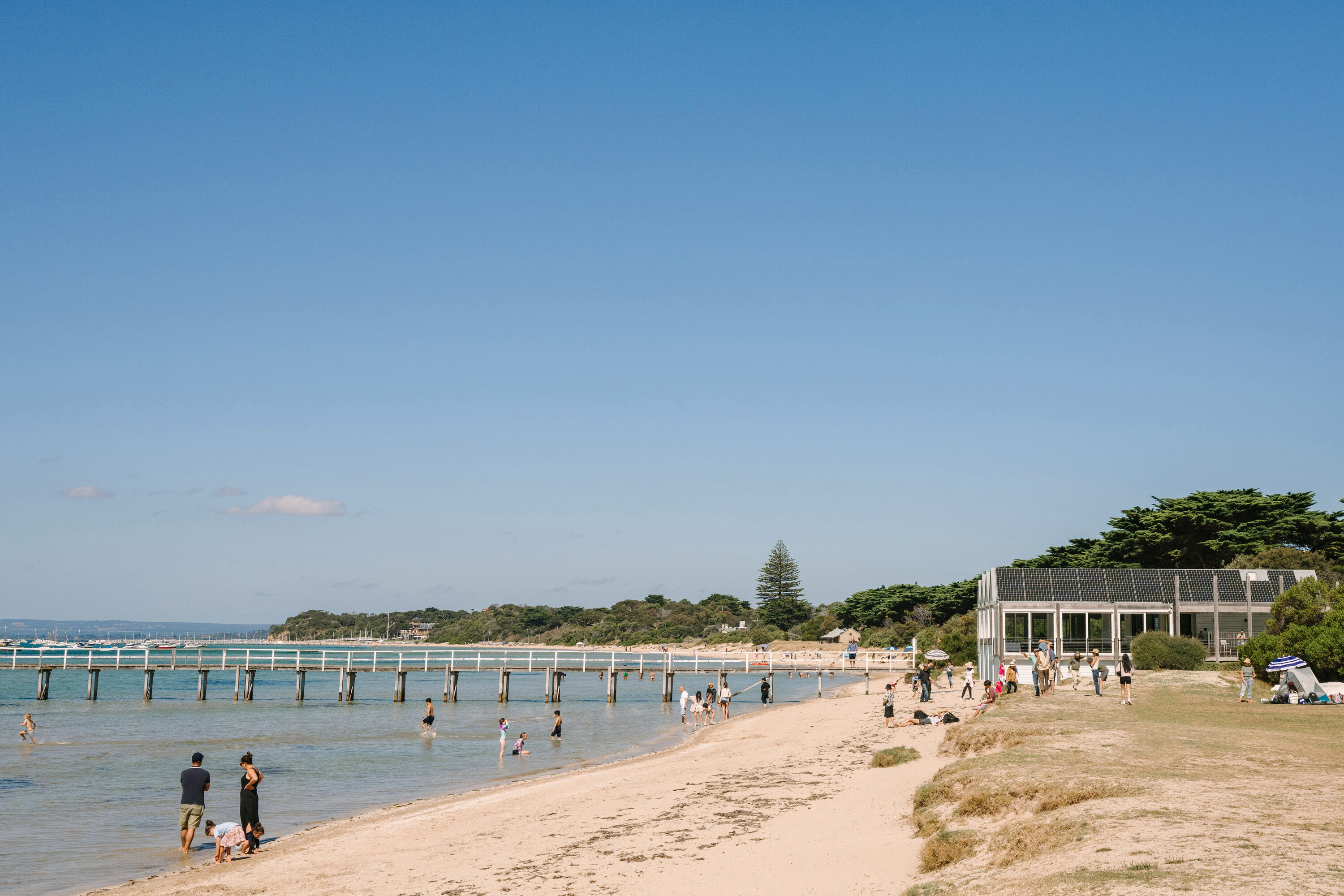 7 Best Seaside Towns in Victoria 2025 | Beautiful Coastal Getaways