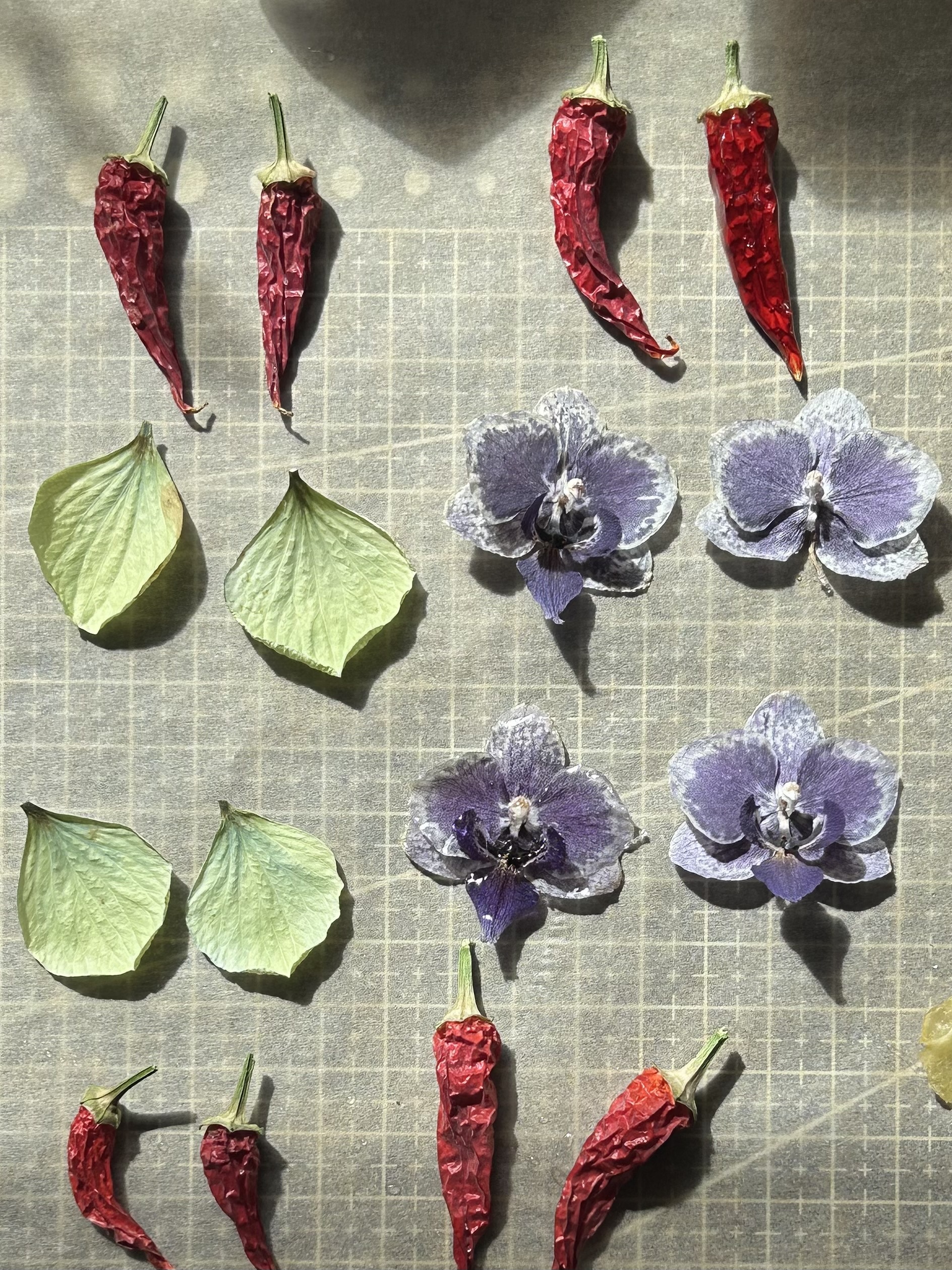 Flores? Esta marca portuguesa colhe-as e transforma-as em jóias