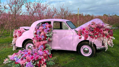 The 8 Best Places to See Cherry Blossoms in Australia [2025]