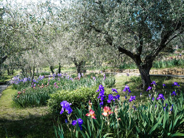 Top Things To Do in Florence: Famous Sights and Hidden Gems