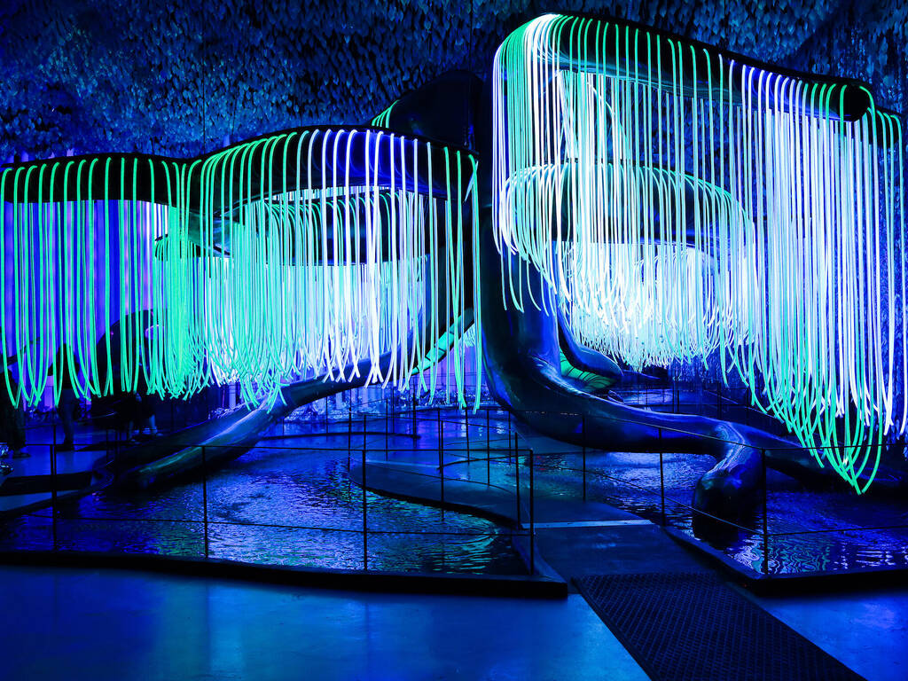 13 Best Immersive Experiences in the U.S. for All Ages