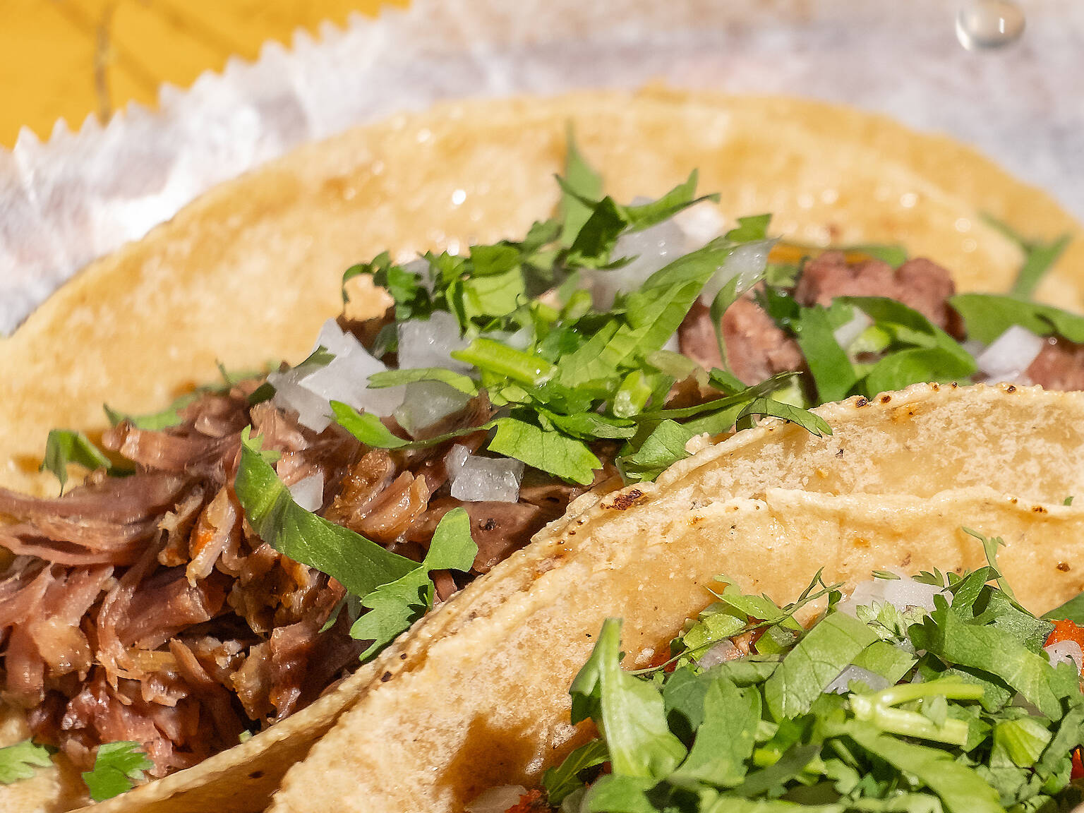 25 Best Restaurants in Philadelphia to Try Right Now